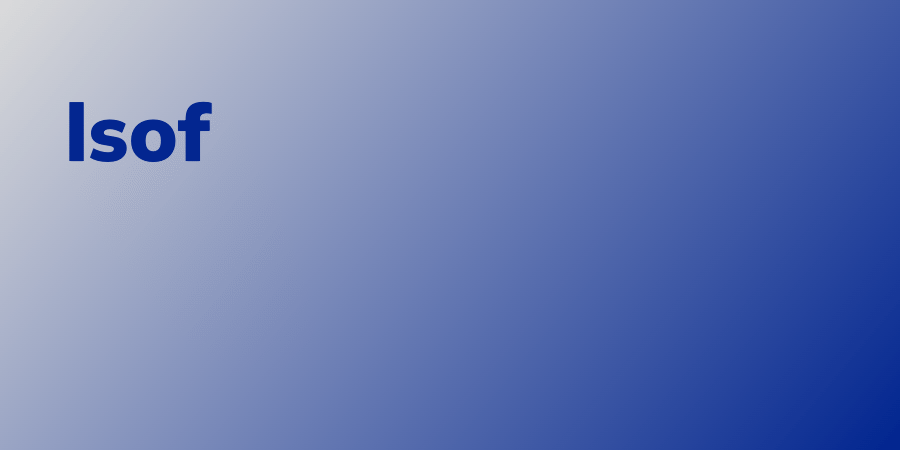 lsof cheat sheet - Linux Audit